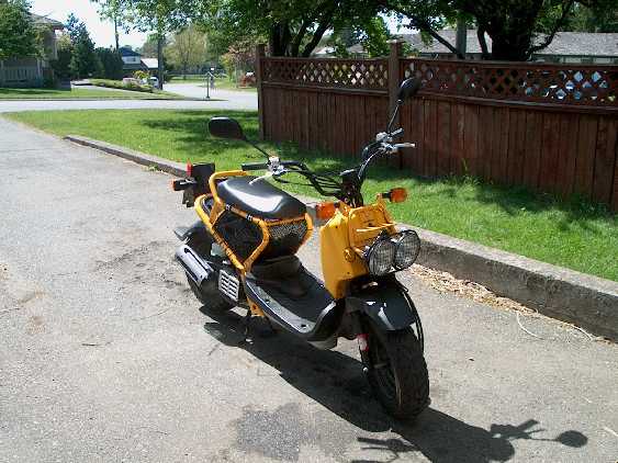 foxed.ca - /ruckus/new/